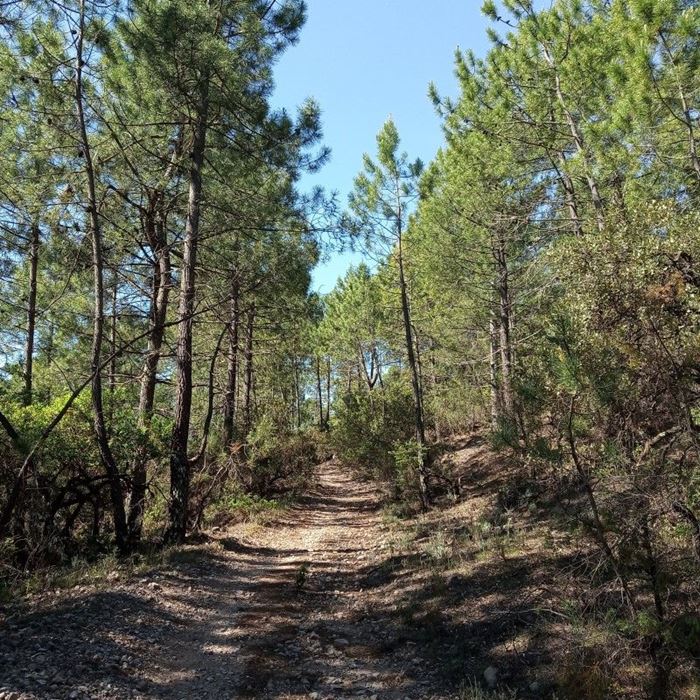 GR67 - Jour 1 / Randonnée d'Anduze au Col des Fosses