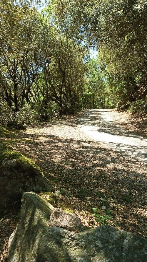 GR67 - Jour 1 / Randonnée d'Anduze au Col des Fosses