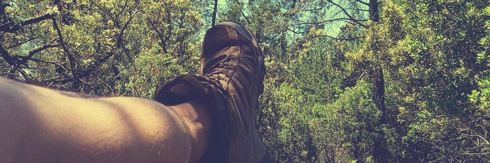 GR67 la Randonnée du Tour des Cévennes en détail