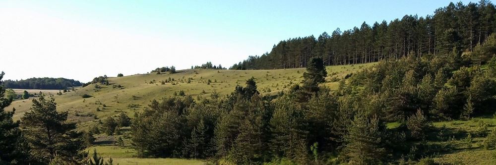 GR67 la Randonnée du Tour des Cévennes en détail