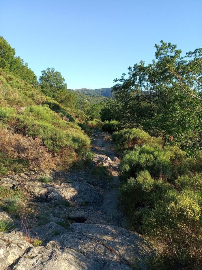 GR67 - Jour 2 / Randonnée du Col des Fosses à Peyre Agude
