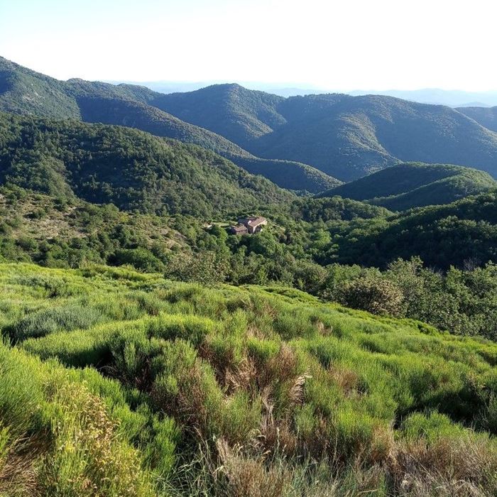 GR67 - Jour 2 / Randonnée du Col des Fosses à Peyre Agude