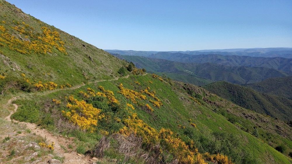 GR67 - Jour 2 / Randonnée du Col des Fosses à Peyre Agude