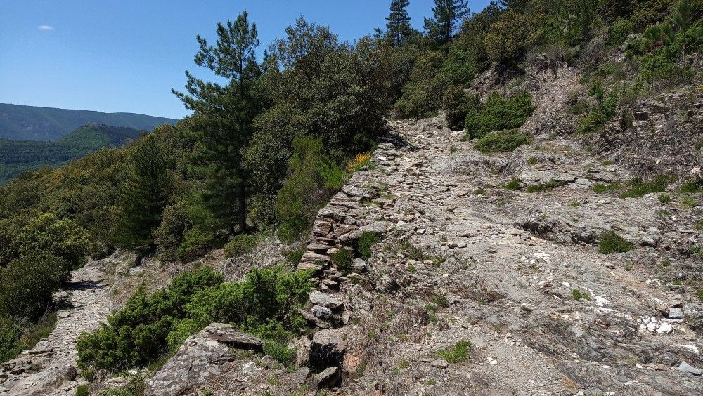 GR67 - Jour 2 / Randonnée du Col des Fosses à Peyre Agude