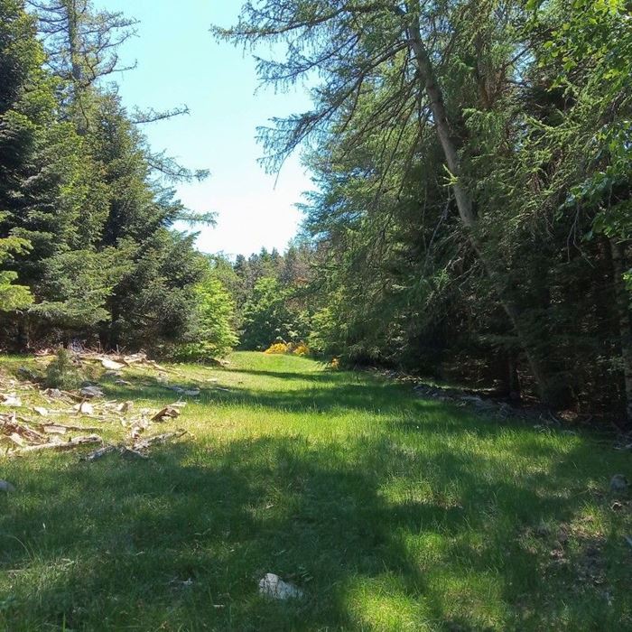 GR67 - Jour 2 / Randonnée du Col des Fosses à Peyre Agude