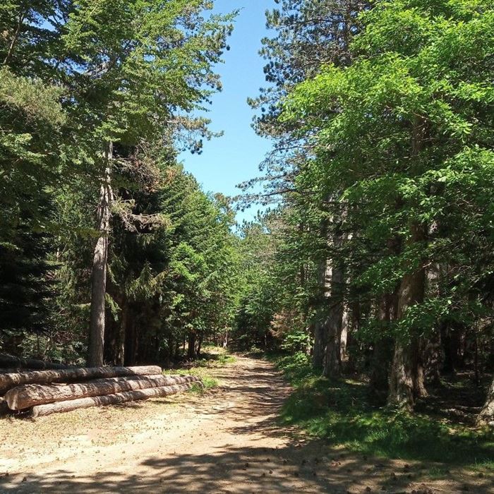 GR67 - Jour 2 / Randonnée du Col des Fosses à Peyre Agude